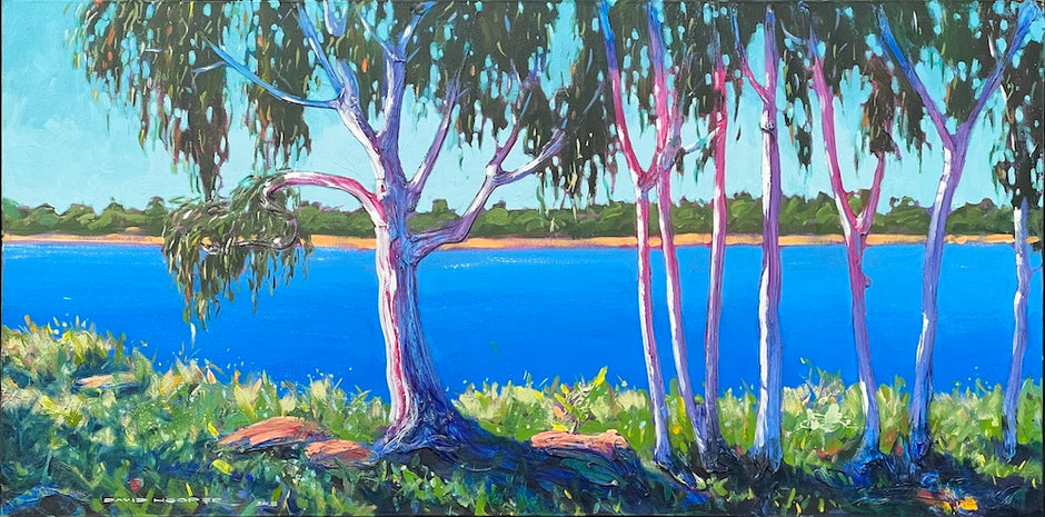 THE LATEST OIL PAINTINGS – David Hooper Art